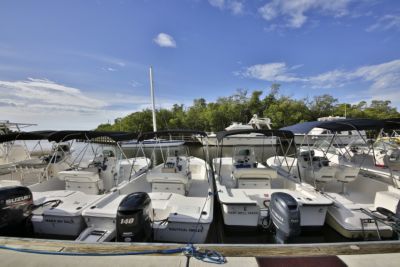 Marco Island - Calusa Island Marina