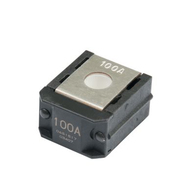 Littelfuse 3298100.H, ZCASE Fuse, 100 Amp, 32V (2 MIN) | 79553 | Del City