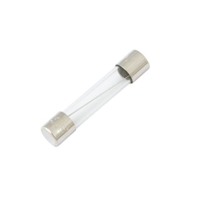 Littelfuse 0311010.M, AGC Glass Fuse, 10 Amp, 32V (100 MIN) | 79805 ...