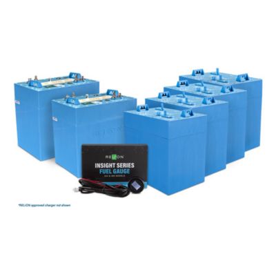 RELiON® InSight Bundles - 2 Battery Bundle | Del City