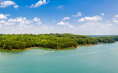 Lake Lanier Bald Ridge Marina