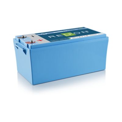 RELiON RB300-LT, Low Temperature LIFEPO4 Legacy Lithium Battery 8D 12V ...