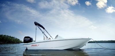 Fishing, Center Console, Cruising & Tender Boats | Boston Whaler®