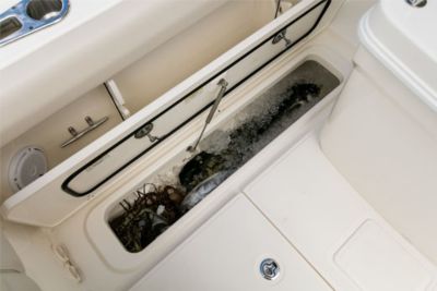 Boston Whaler Boat Configurator