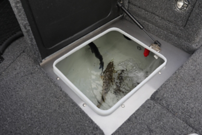 Lund Boat Configurator | LUND